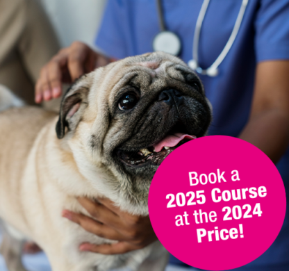 Brachycephalic Obstructive Airway Syndrome (BOAS) – CPD Solutions ...