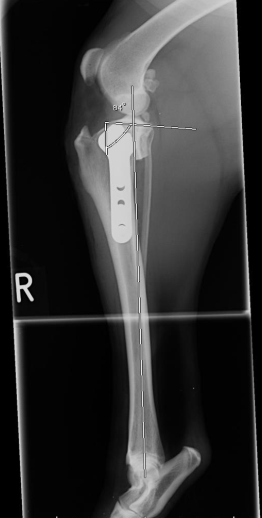 Book Your TPLO Course | CPD Solutions